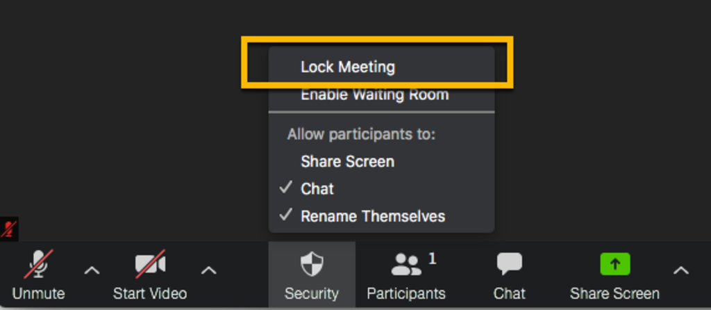 Securing Zoom Meetings | Information Technology Services - The ...