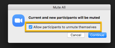Securing Zoom Meetings | Information Technology Services - The ...
