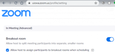 Zoom - ICON Integration | Information Technology Services - The ...