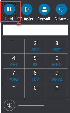Basic Telephone Activities with Skype for Business (Windows ...